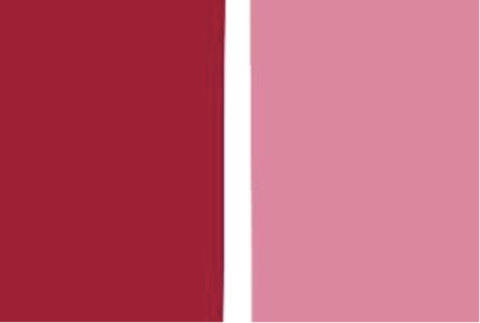 Nikolas Colors